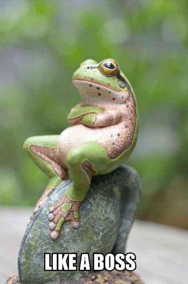 [Image - 313512] | Like A Boss | Know Your Meme