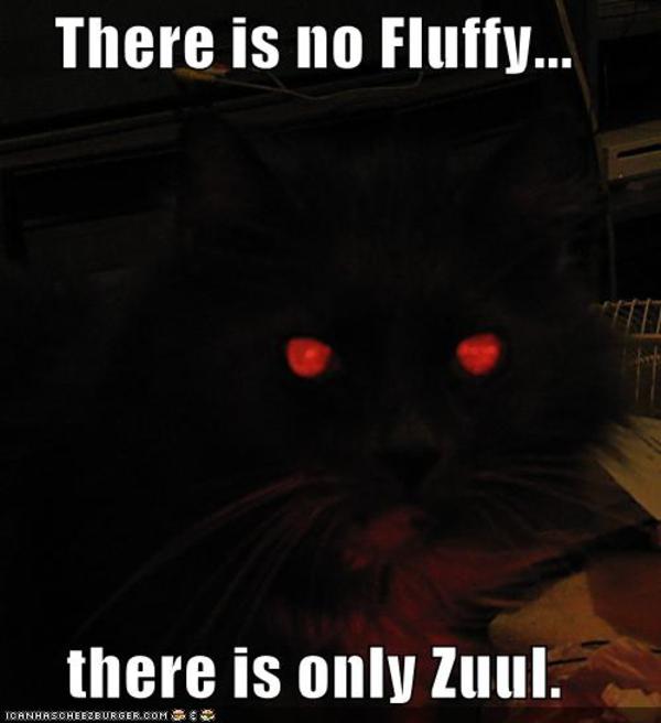 [Image - 314014] | There Is No Dana, Only Zuul | Know Your Meme