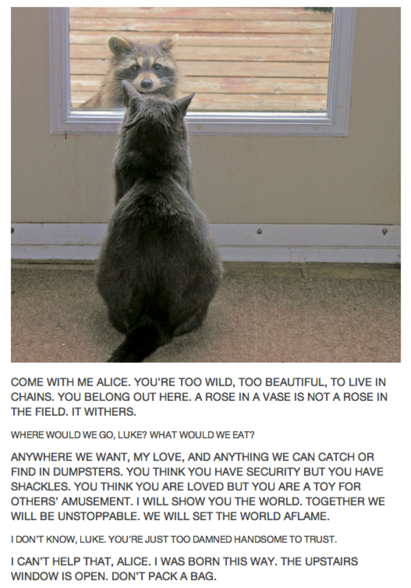 [Image - 315485] | Animals Talking In All Caps | Know Your Meme