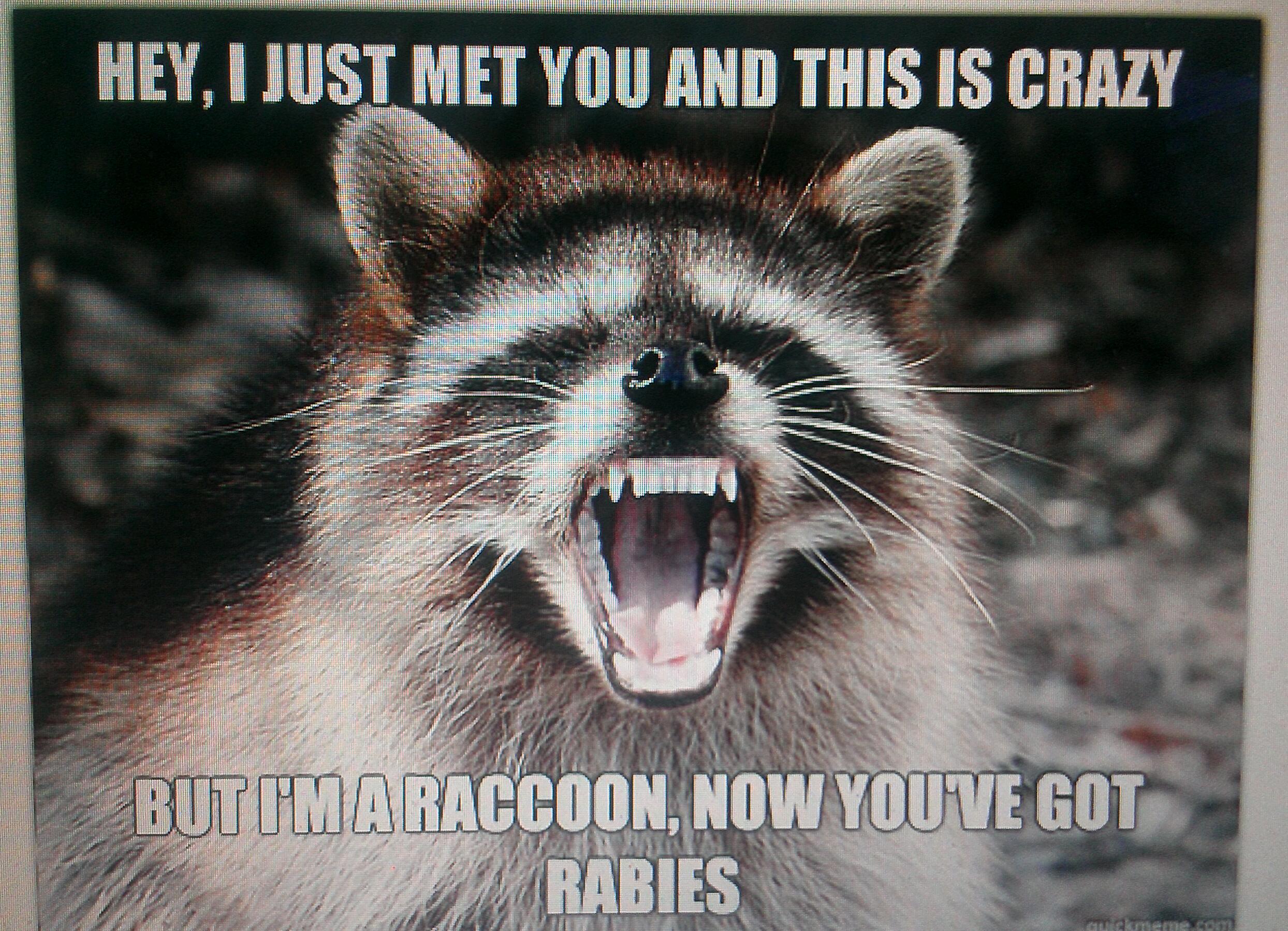 [Image - 317979] | Call Me Maybe | Know Your Meme