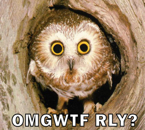 OMGWTF RLY? | O RLY? | Know Your Meme