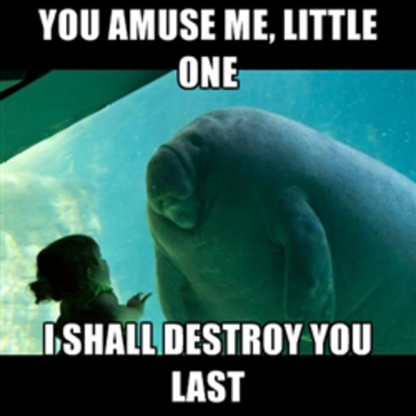 [Image - 322462] | Overlord Manatee | Know Your Meme