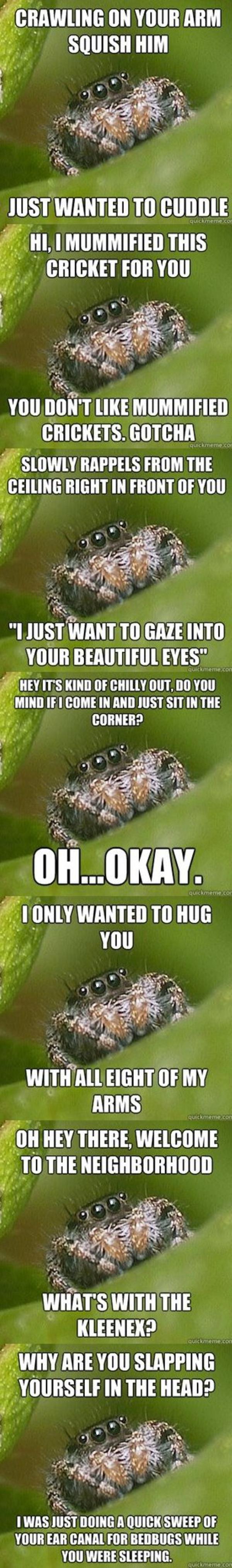 Missunderstood spider | Misunderstood Spider | Know Your Meme