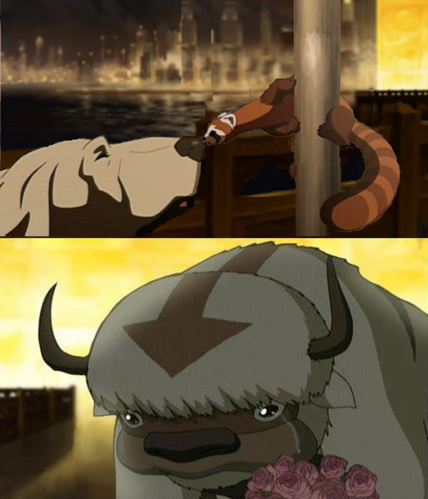 [Image - 323800] | Crying Bolin / Kissing Korra | Know Your Meme