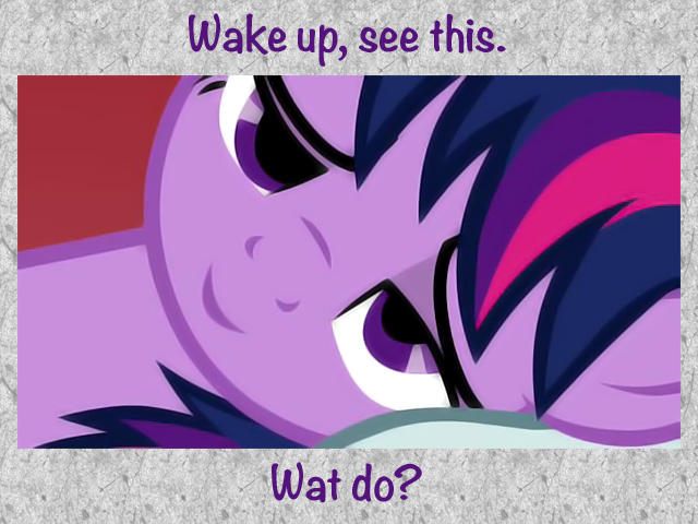 [Image - 325149] | Wat Do? | Know Your Meme