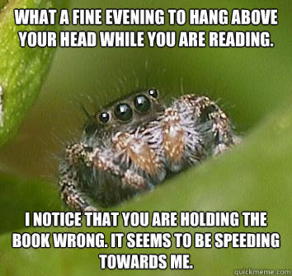 [Image - 325851] | Misunderstood Spider | Know Your Meme