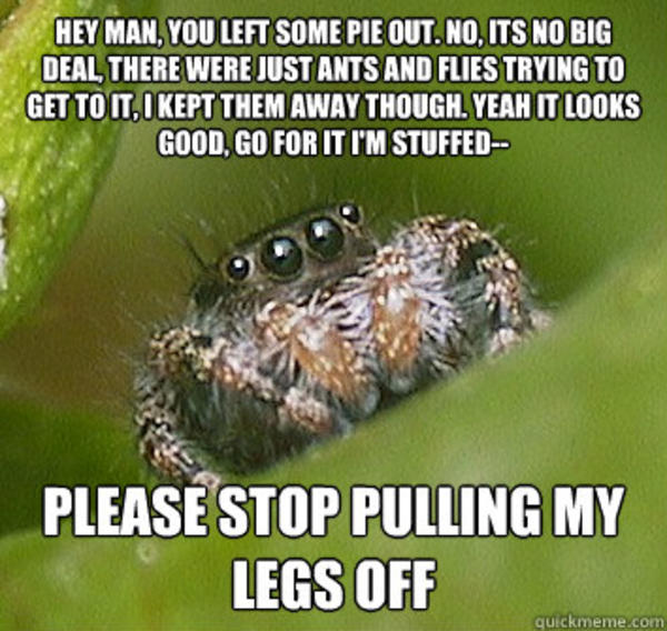 [Image - 325867] | Misunderstood Spider | Know Your Meme