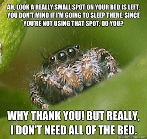 [Image - 325868] | Misunderstood Spider | Know Your Meme