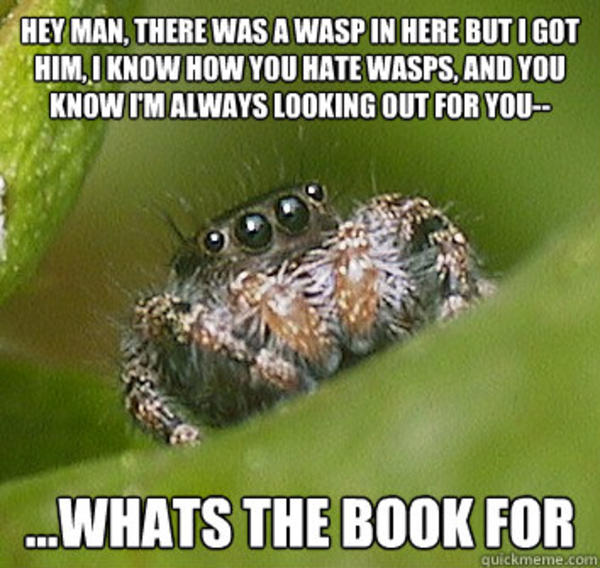 [Image - 325877] | Misunderstood Spider | Know Your Meme