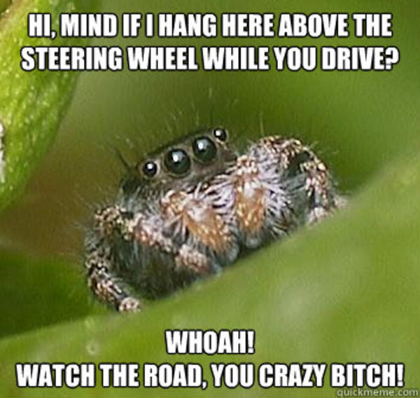 [Image - 325885] | Misunderstood Spider | Know Your Meme