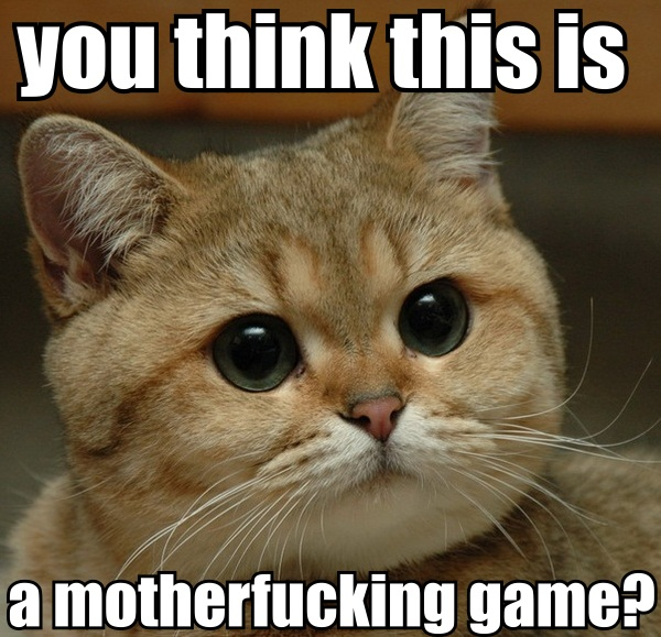 [Image - 327959] | Cats | Know Your Meme