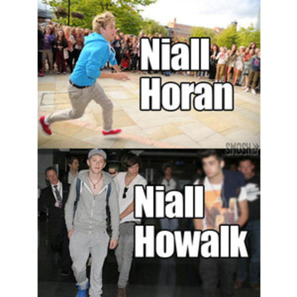 [Image - 335275] | Name Puns | Know Your Meme