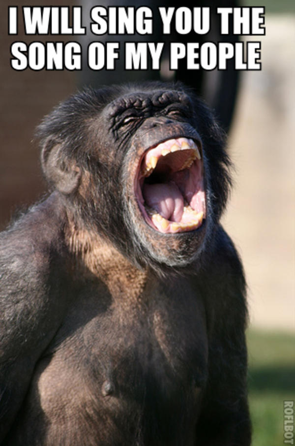 Singing Chimpanzee is Singing | The Song of My People! | Know Your Meme