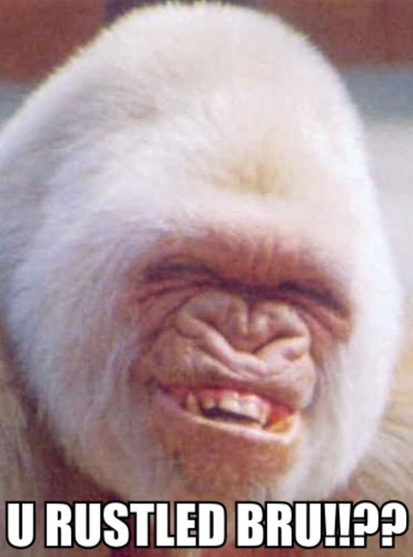 U RUSTLED BRU?? | That Really Rustled My Jimmies | Know Your Meme