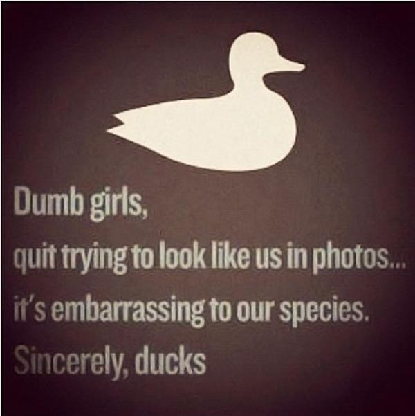 Message From The Ducks | Duck Face | Know Your Meme