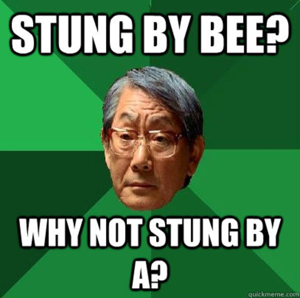 [Image - 342474] | Bees | Know Your Meme