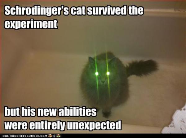 [Image - 344696] | Schrodinger's Cat | Know Your Meme
