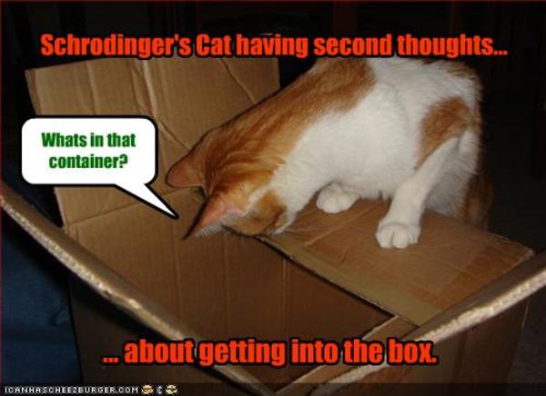 [Image - 344698] | Schrodinger's Cat | Know Your Meme