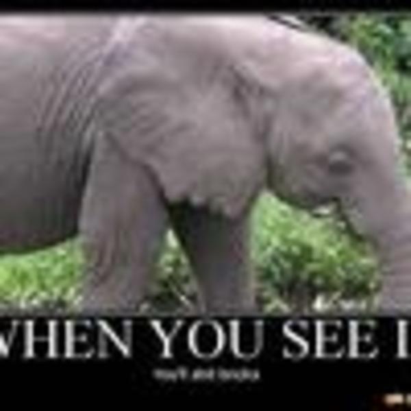 [Image - 350849] | Shit bricks | Know Your Meme