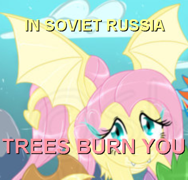 Have some S3 fluttershy. | My Little Pony: Friendship is Magic | Know ...