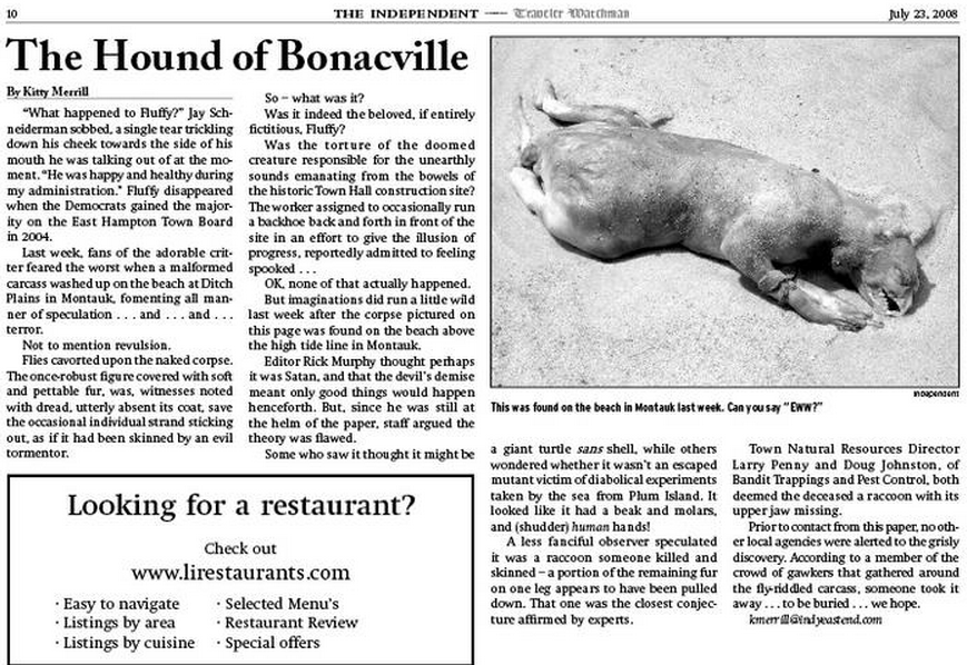 The Independent - Montauk Monster | Montauk Monster | Know Your Meme