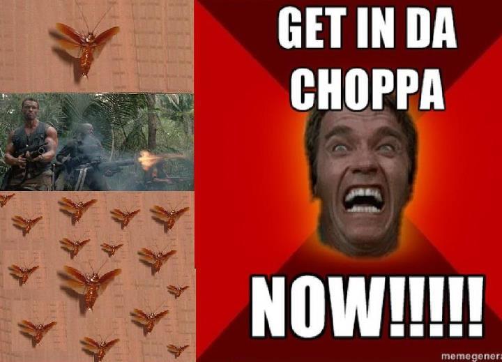 GET TO DA CHOPPA ! NOW !!! | Know Your Meme
