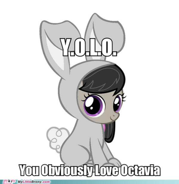And then Yolo became acceptable for Bronies.......mostly! | YOLO | Know ...