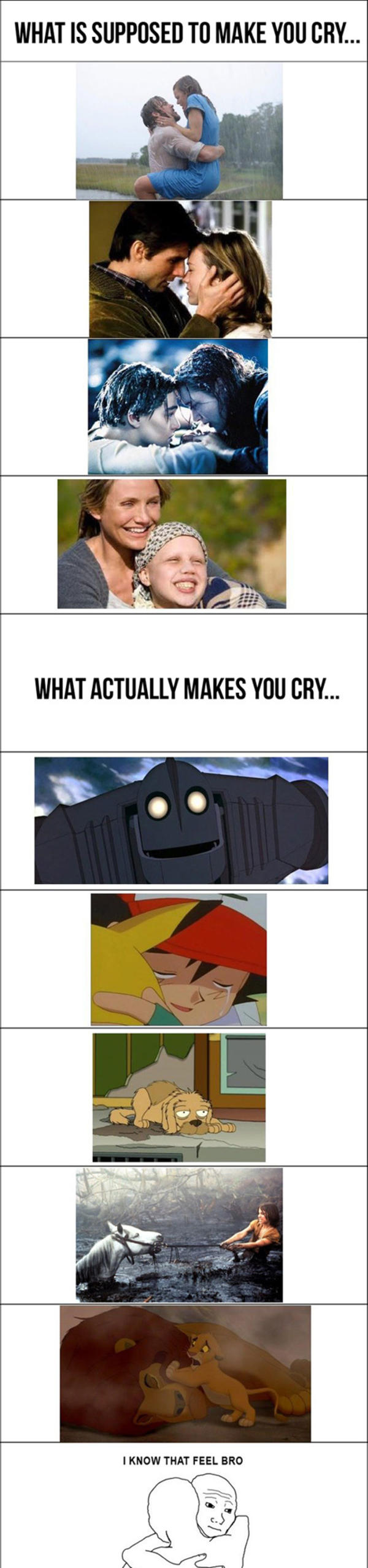 [Image - 365443] | I Know That Feel Bro | Know Your Meme