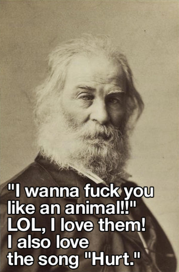 [Image - 365755] | Steve Roggenbuck | Know Your Meme