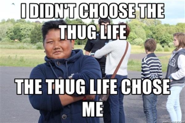 [Image - 367997] | I Didn't Choose The Thug Life, The Thug Life Chose ...