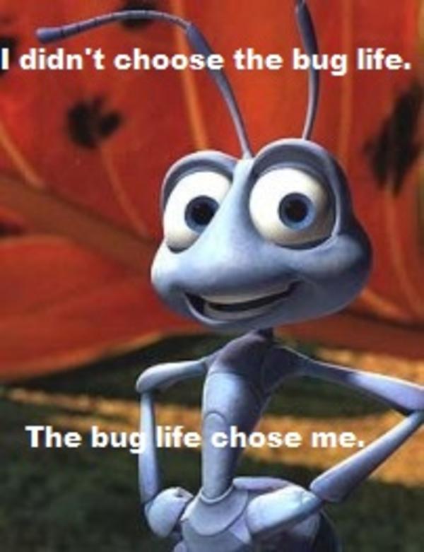 [Image - 374011] | I Didn't Choose The Thug Life, The Thug Life Chose ...