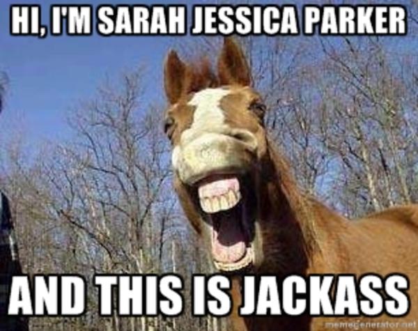 [Image - 374696] | And Welcome to Jackass | Know Your Meme