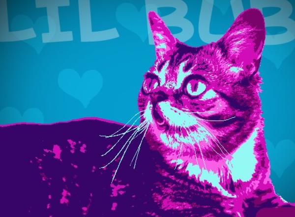 [Image - 377836] | Lil Bub | Know Your Meme