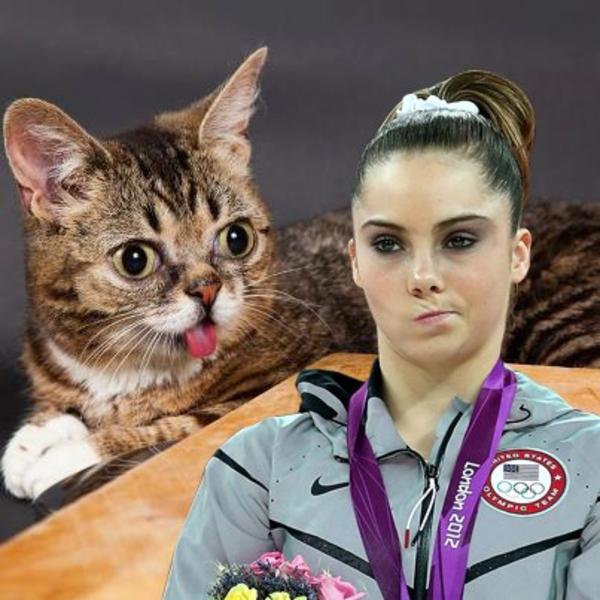 [Image - 377840] | Lil Bub | Know Your Meme