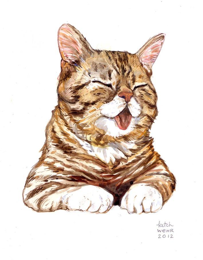 [Image - 377845] | Lil Bub | Know Your Meme