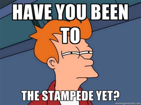 [Image - 378458] | Have you been to the stampede yet? | Know Your Meme