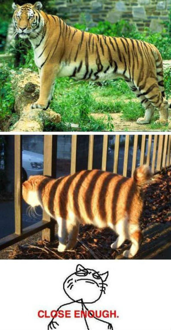 [Image - 379477] | Close Enough | Know Your Meme