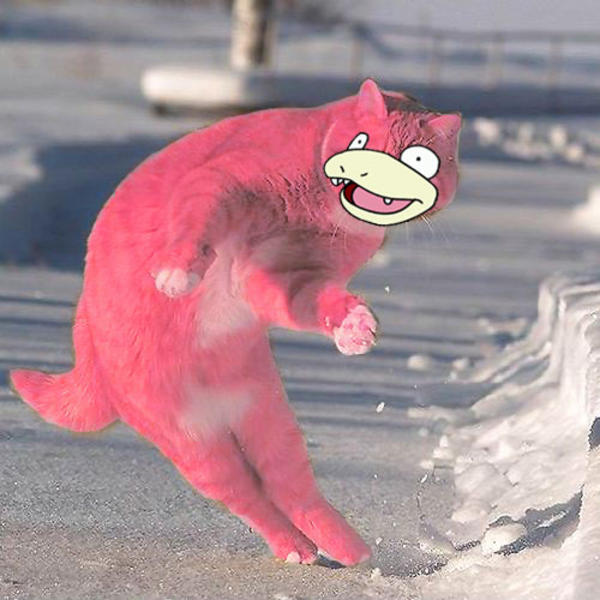 [Image - 382964] | Dodge Cat | Know Your Meme