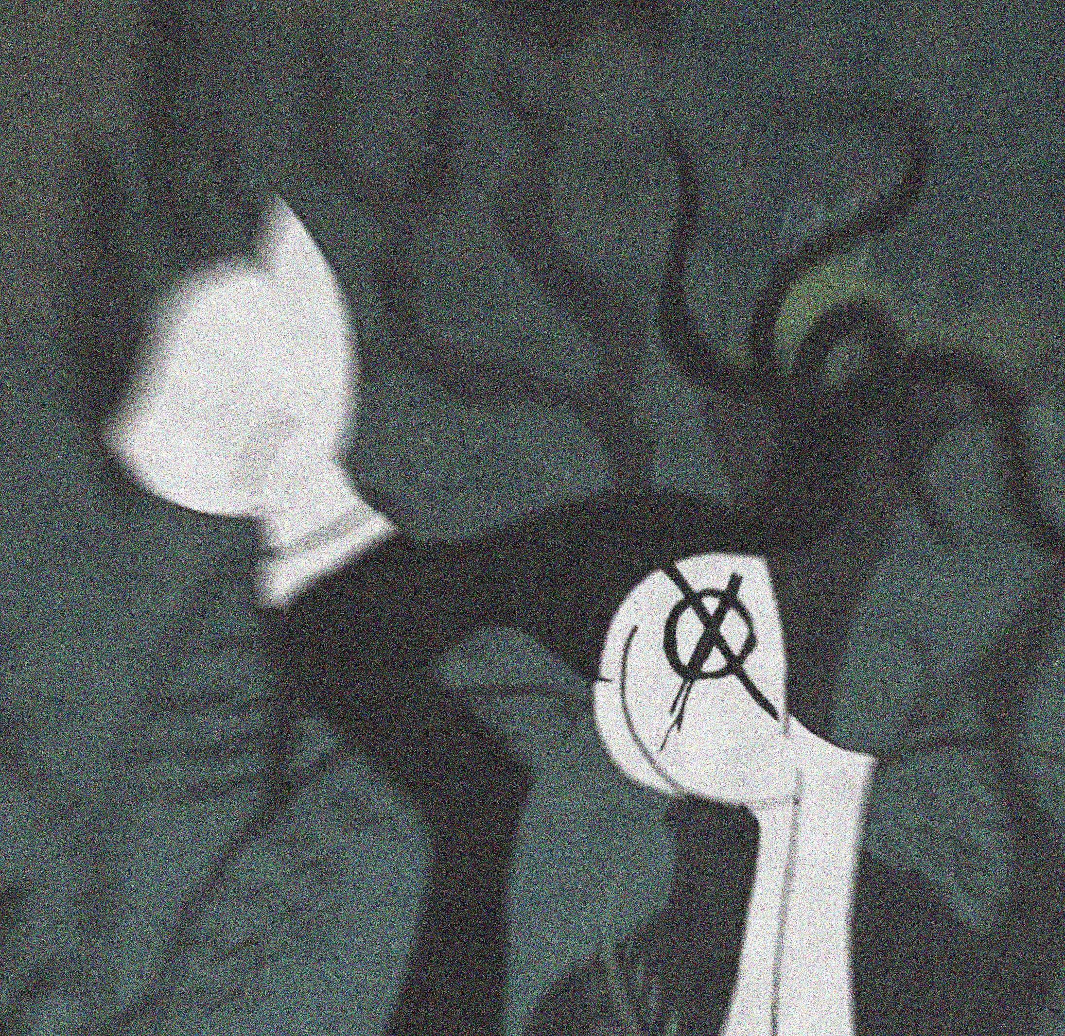 SLENDER MANE | Slender Man | Know Your Meme