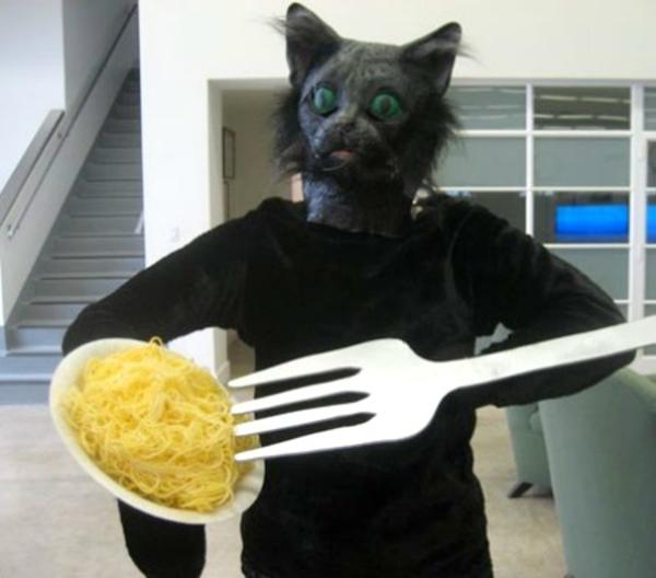 [Image - 384748] | Spaghetti Cat | Know Your Meme