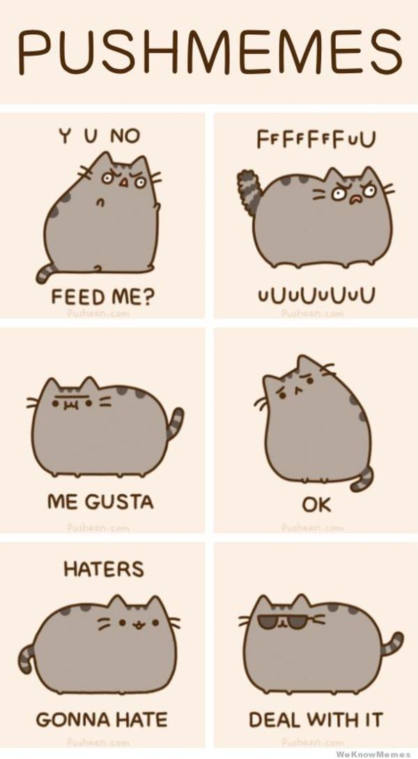 [Image - 387455] | Pusheen | Know Your Meme