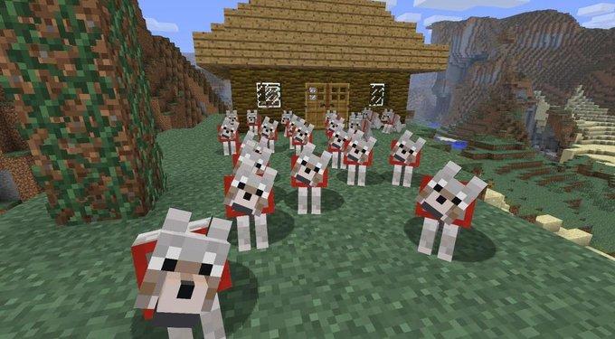Wolves | Minecraft | Know Your Meme