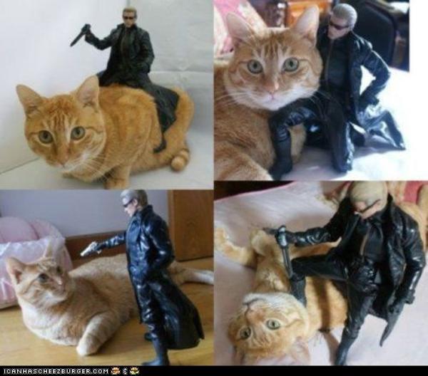 Wesker Versus Cat | Resident Evil / Biohazard | Know Your Meme
