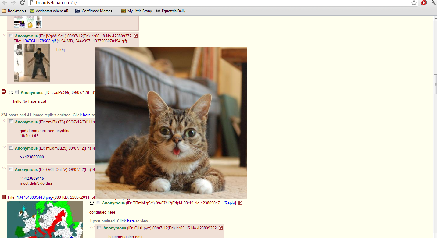 [Image - 397038] | Lil Bub | Know Your Meme