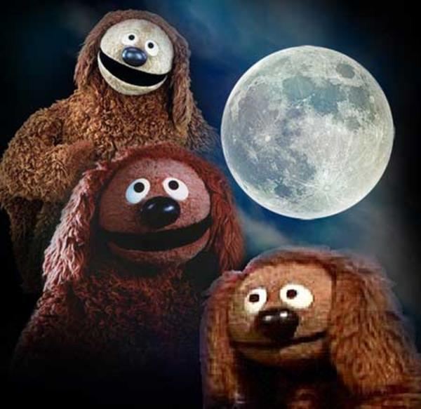 [Image - 397063] | Three Wolf Moon | Know Your Meme