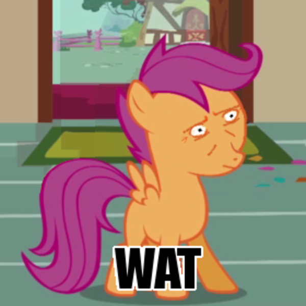 Wat | Wat | Know Your Meme