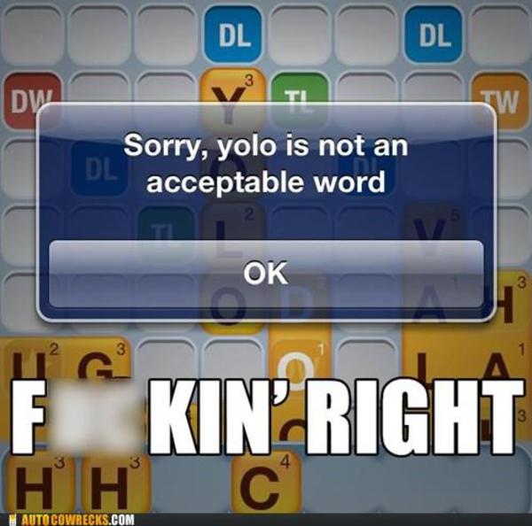 [Image - 408823] | YOLO | Know Your Meme