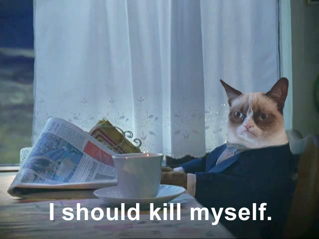 Grumpy Cat should... | Grumpy Cat | Know Your Meme