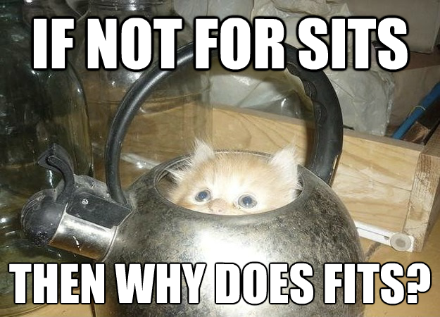 [Image - 409562] | If It Fits I Sits | Know Your Meme