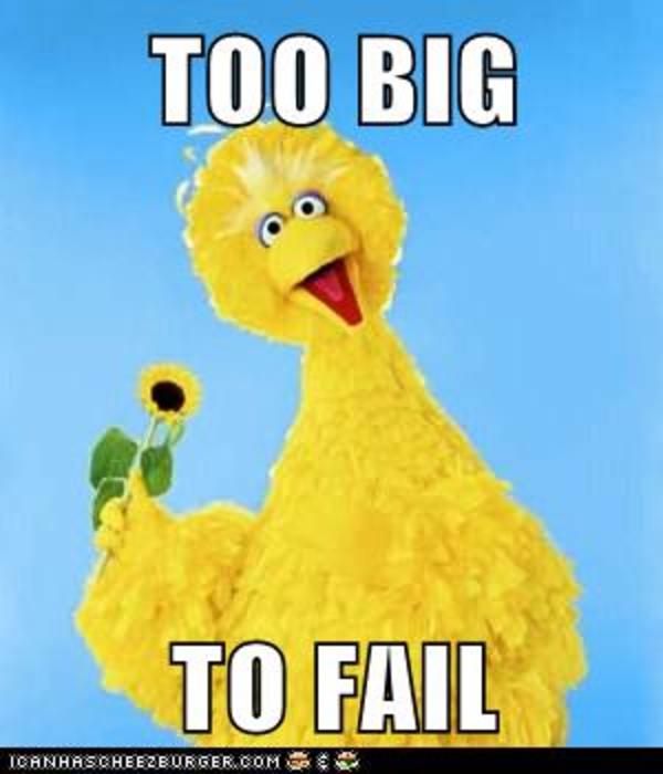 TOO BIG TO FAIL | Mitt Bird | Know Your Meme